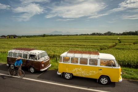 VW Limo Bali Cemagi Ricefields - Total Bali Activities